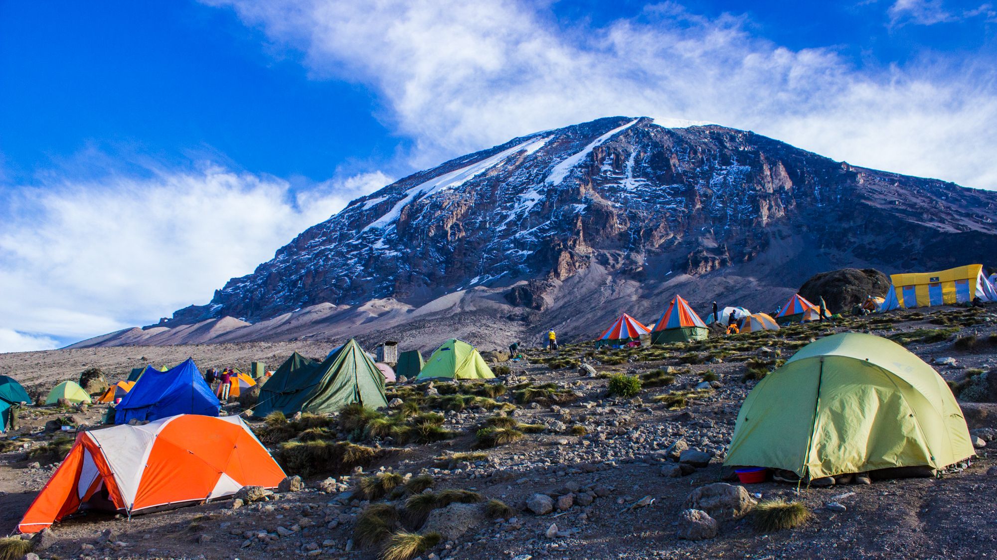 Kilimanjaro Rwenzori: Best trekking experts in East Africa