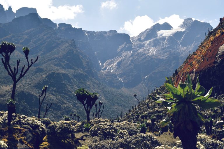 Rwenzori Mountains National Park: A Complete Guide