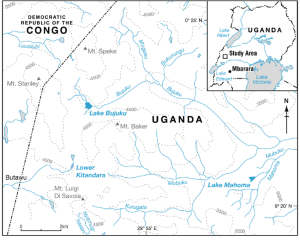Rwenzori Trekking: A Beginner’s Guide to Trekking Rwenzori